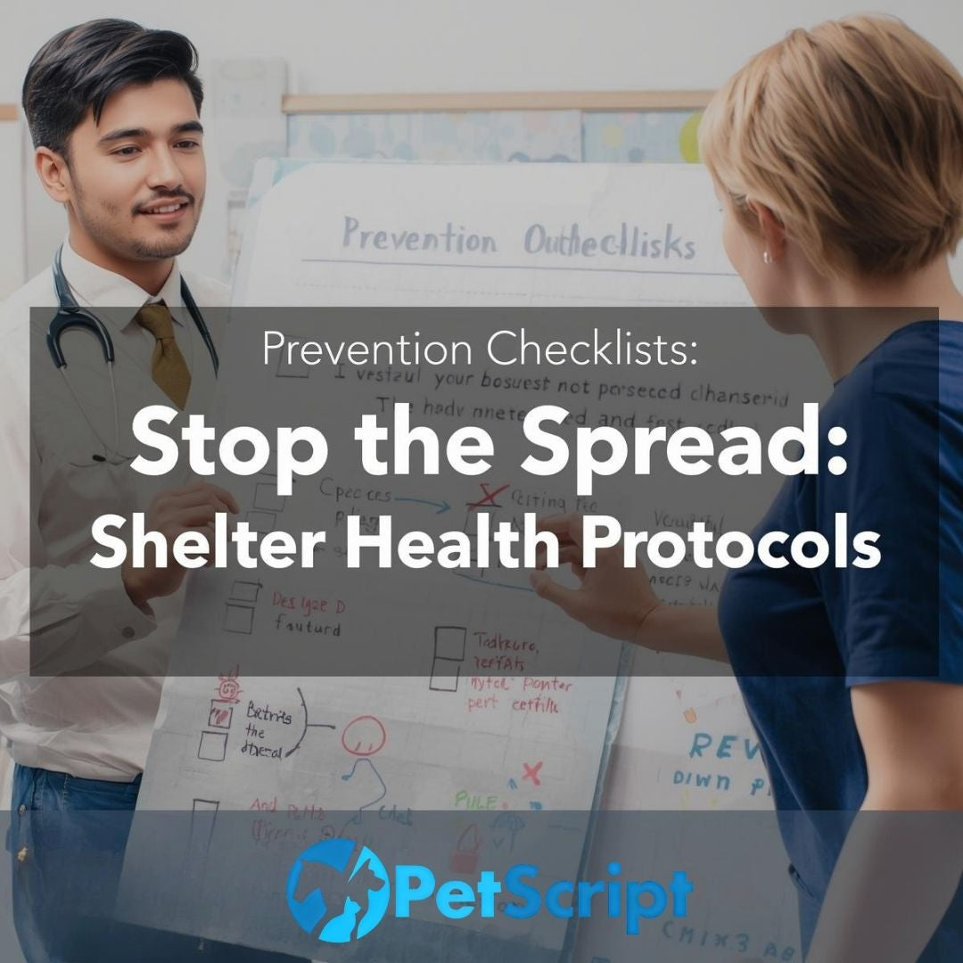 The Great Itch-scapade – PetScript Direct