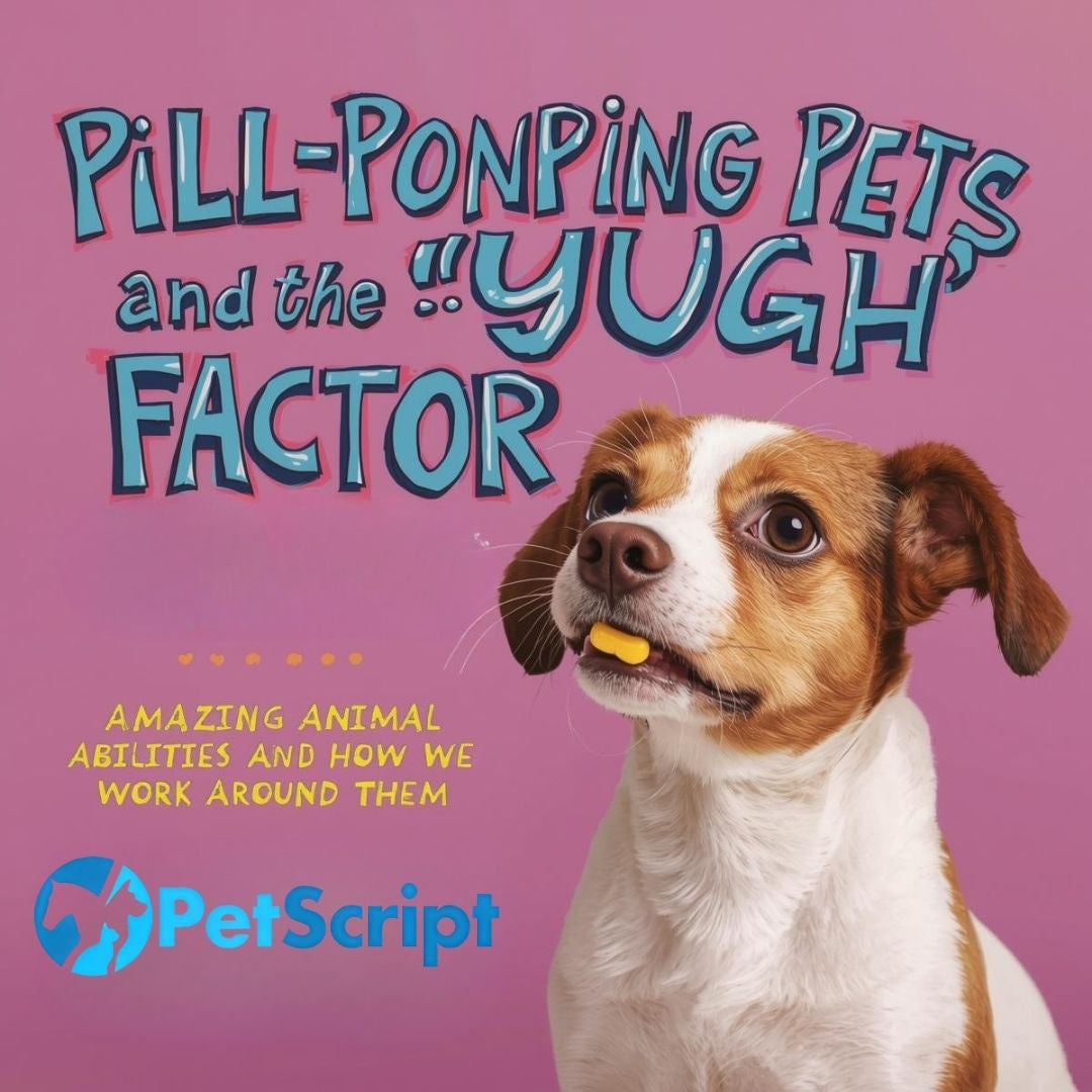 Pill-Popping Pets & The 'Yuck' Factor – PetScript Direct